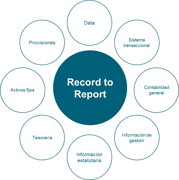 Record To Report – Efficientia-consultants